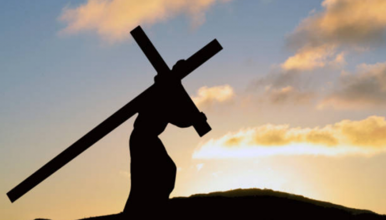 Tool #31 of 104 is to accept and carry your own cross | Mustapha B ...